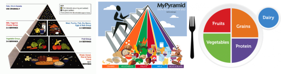 Food Pyramid 2024 Gov