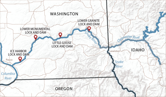 Columbia River System Operations and the Future of the Lower Snake ...